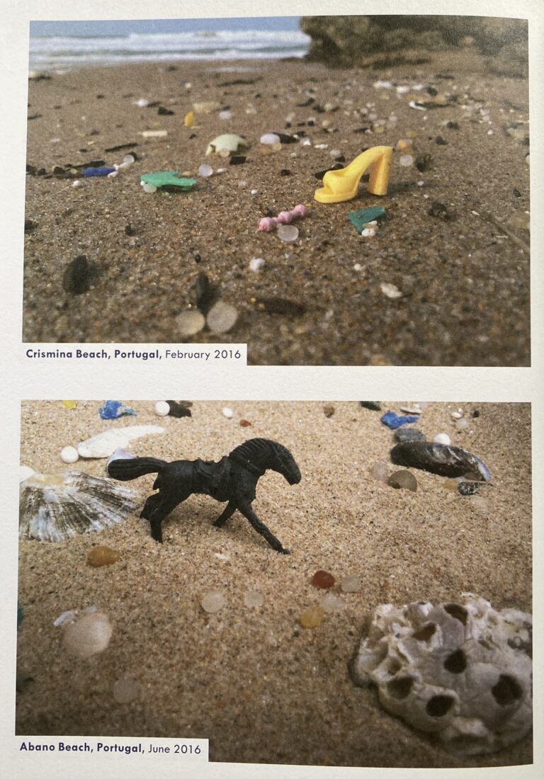 Plasticus Maritimus: A Dangerous & Invasive Species - Maxine and Leon Read a Book